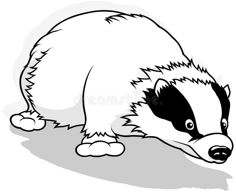 Striped Badger Stock Illustrations – 133 Striped Badger Stock ...