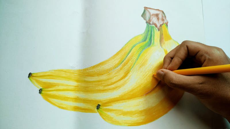 Draw bananas on paper stock image. Image of peel, plant - 217435281