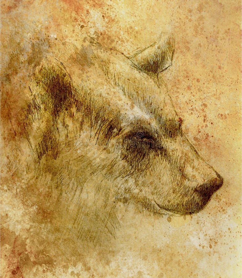 Drawing Bear on Old Paper, Original Hand Draw. Stock Illustration ...