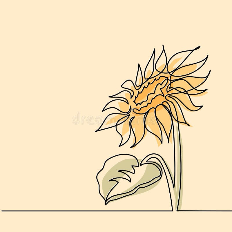 Sunflower Continuous Line Drawing Stock Illustrations – 221 Sunflower ...