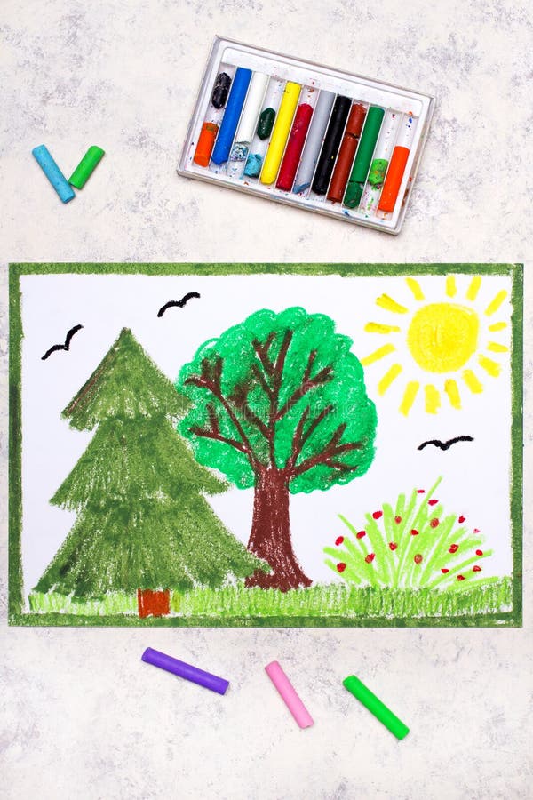 Drawing: Beautiful Forest. Springtime Stock Photo - Image of foliage ...