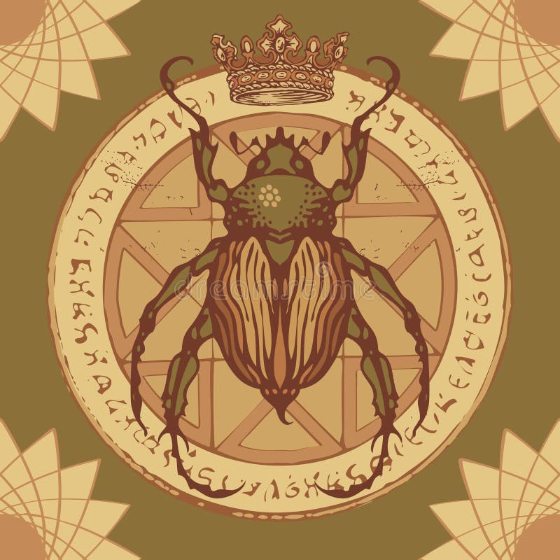 Drawing of Beetle on an Abstract Octagonal Star Stock Vector ...