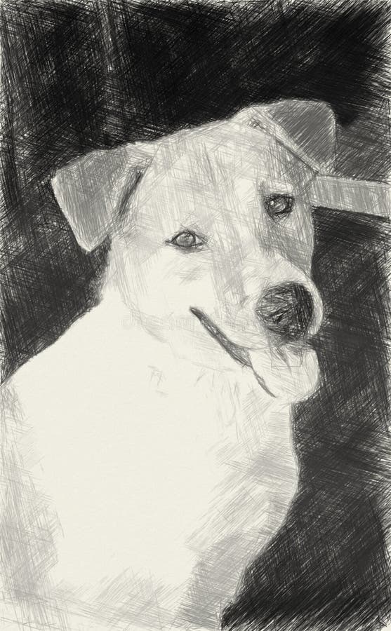 Drawing Black and White of Cute Dog Stock Illustration - Illustration ...