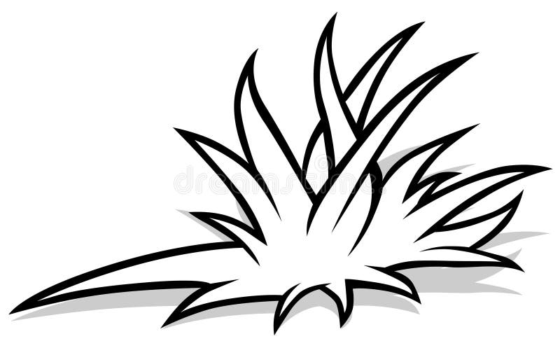 Drawing of a Tuft of Sea Grass Stock Vector - Illustration of contour ...