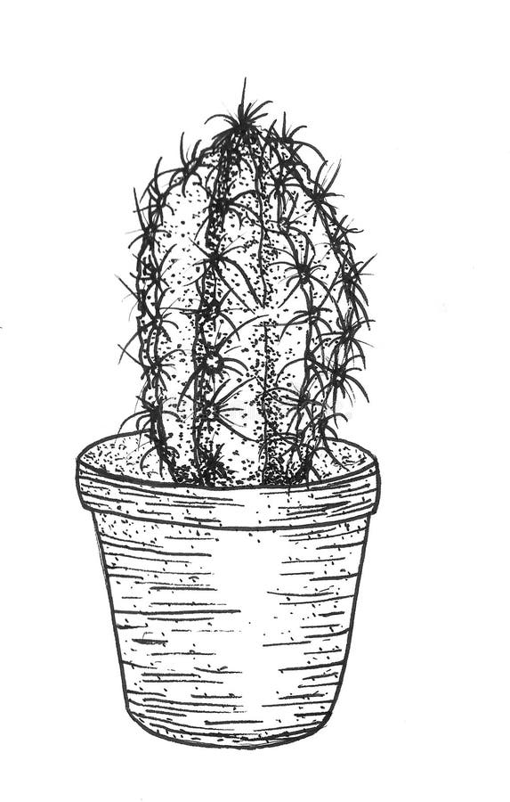 Drawing a Cactus in a Graph with Lines and Dots Stock Image - Image of ...