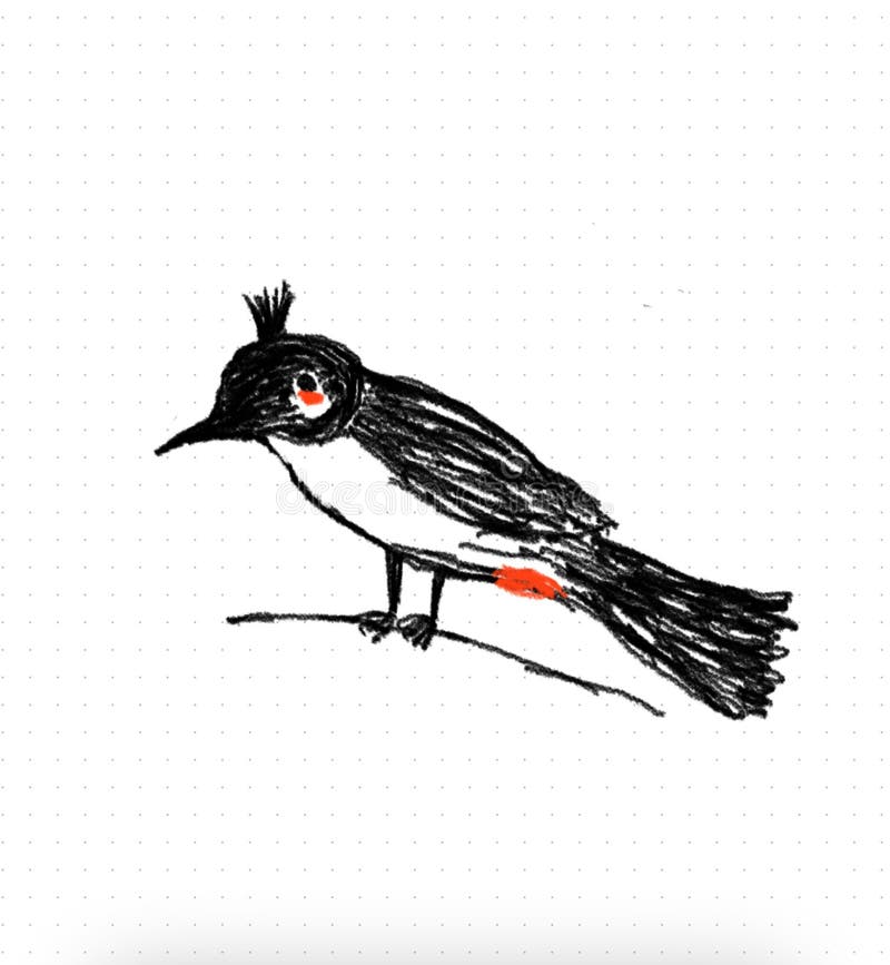 Drawing a bird stock image. Image of caged, bird, drawing - 336545295