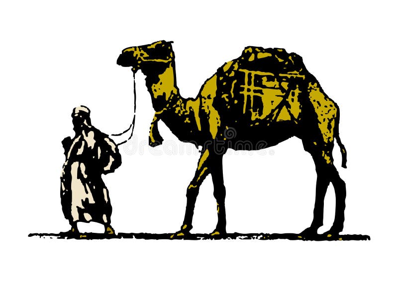Drawing of Camel and Man with a White Background Stock Illustration ...
