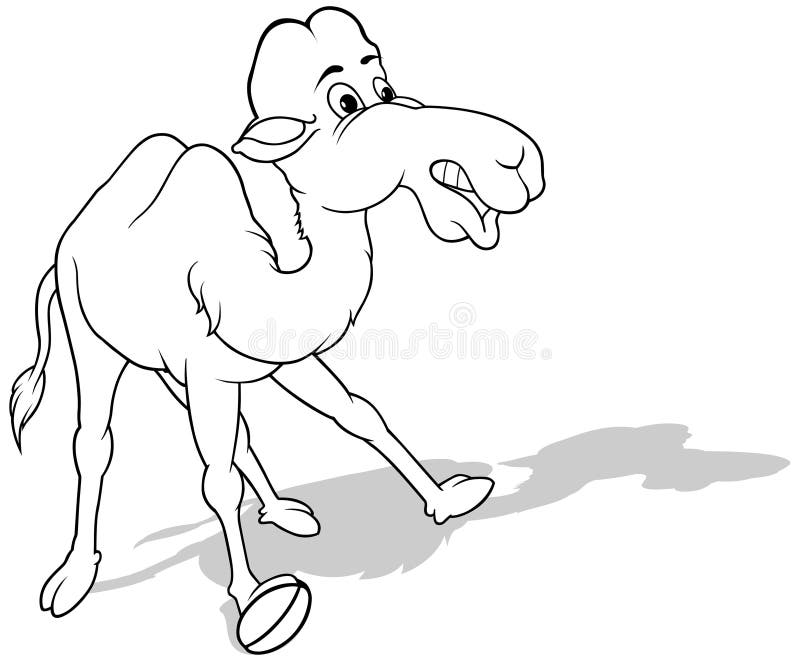 Drawing of a Camel with a Surprised Expression Stock Vector ...