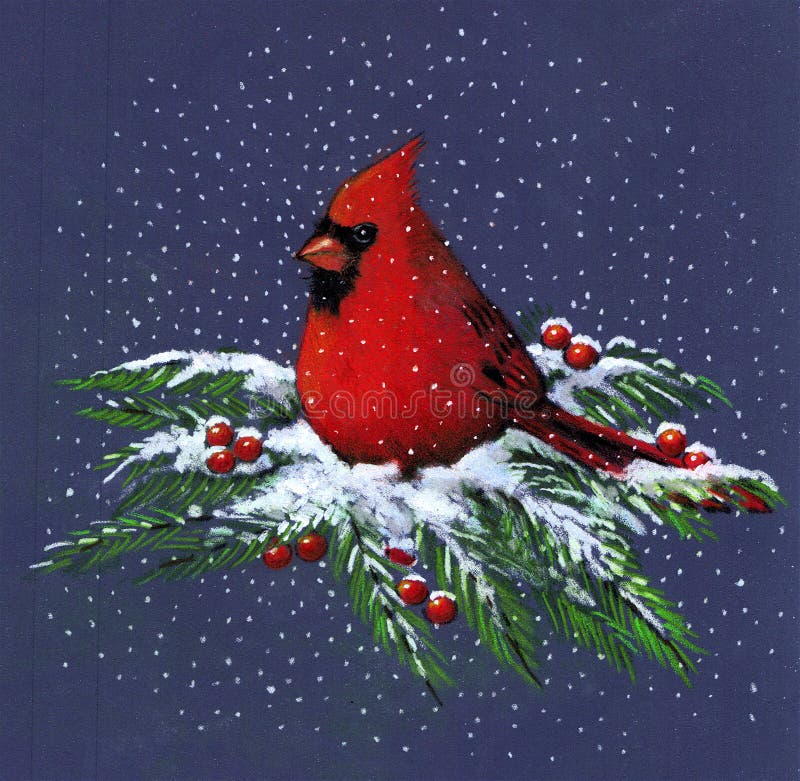 Drawing of Cardinal in Snow Stock Illustration - Illustration of ...