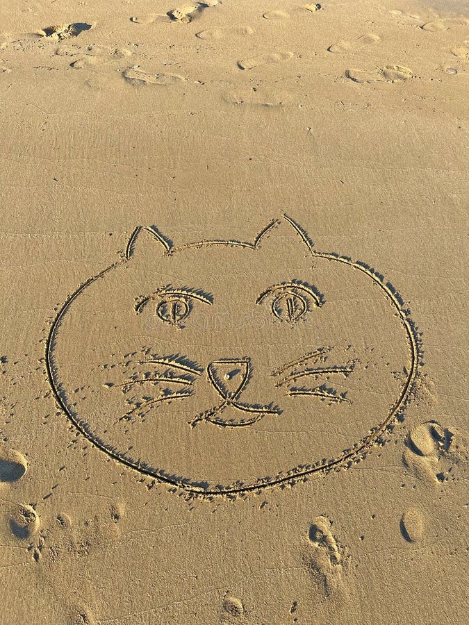A Drawing of a Cat is Drawn in the Sand. Children`s Drawings by the Sea ...