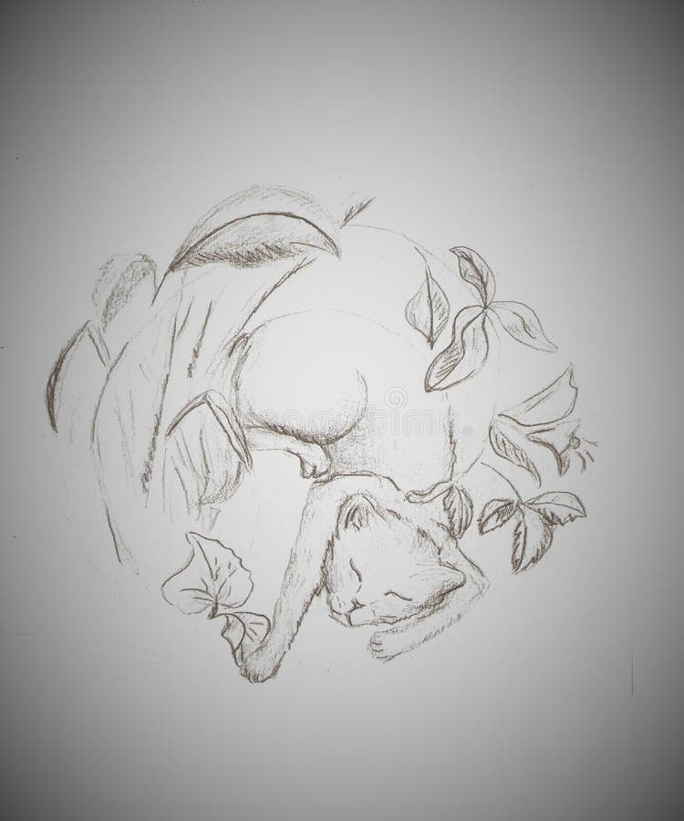 Sleeping Lair Stock Illustrations – 41 Sleeping Lair Stock ...