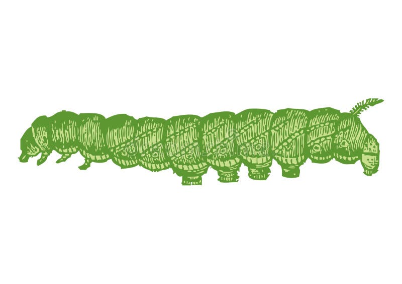 Caterpillar Head Stock Illustrations – 2,214 Caterpillar Head Stock ...