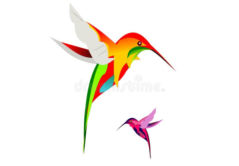 Colibri drawing set stock vector. Illustration of creative - 33107554