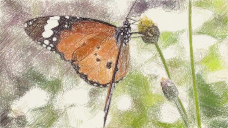 Beautiful Butterfly Animation with a Green Screen Background. Stock ...