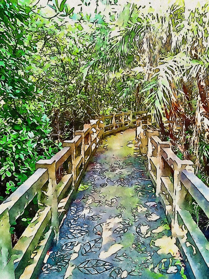 Drawing Color of Way in Forest Stock Illustration - Illustration of ...