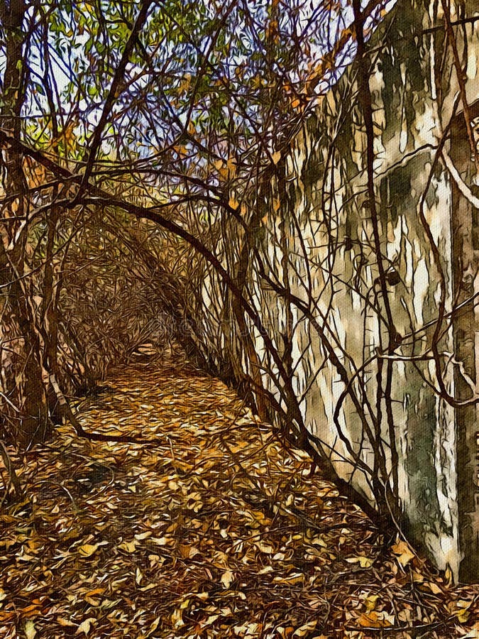 Drawing Color of Way in Forest Stock Illustration - Illustration of ...