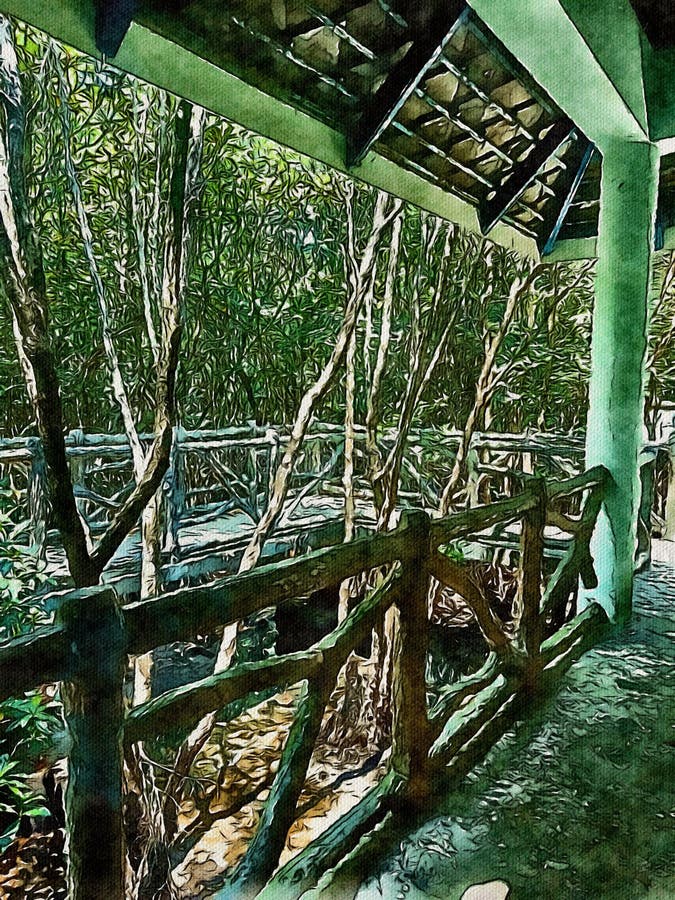 Drawing Color of Way in Forest Stock Illustration - Illustration of ...