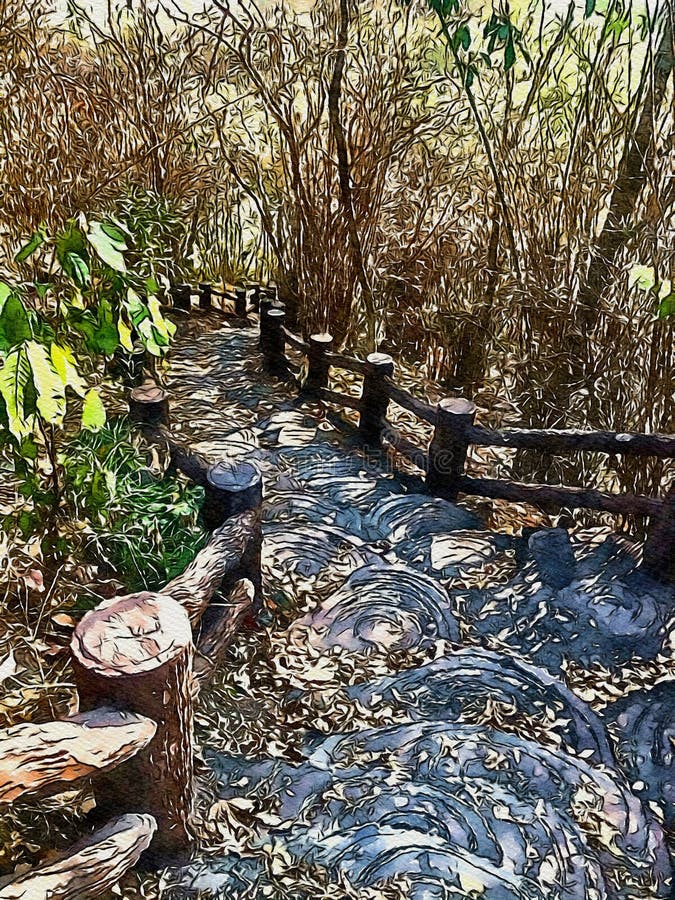 Drawing Color of Way in Forest Stock Photo - Image of summer, stone ...