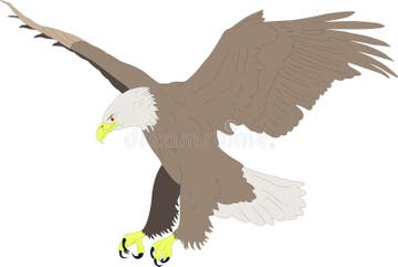 Bald Eagle Perched Stock Illustrations – 3,013 Bald Eagle Perched Stock ...