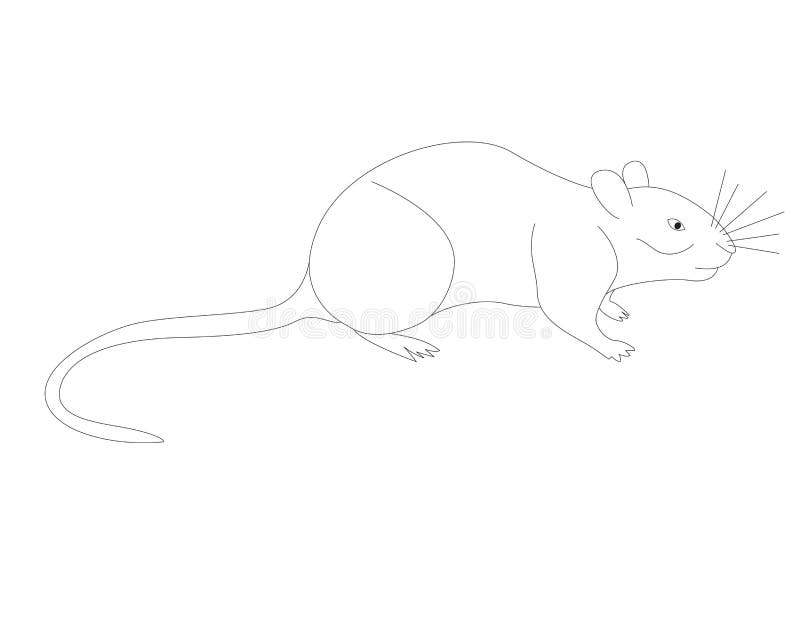 Vole Drawing Stock Illustrations – 208 Vole Drawing Stock Illustrations ...