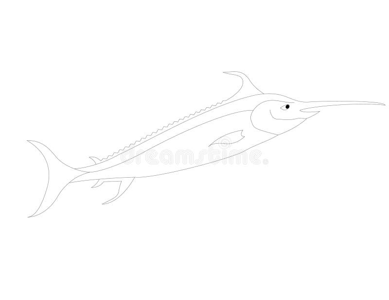 Xiphias Coloring Page