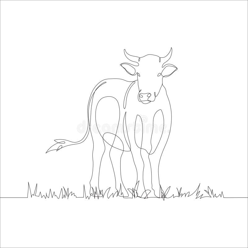 Drawing of a Continuous Line of Cattle Stock Vector - Illustration of ...