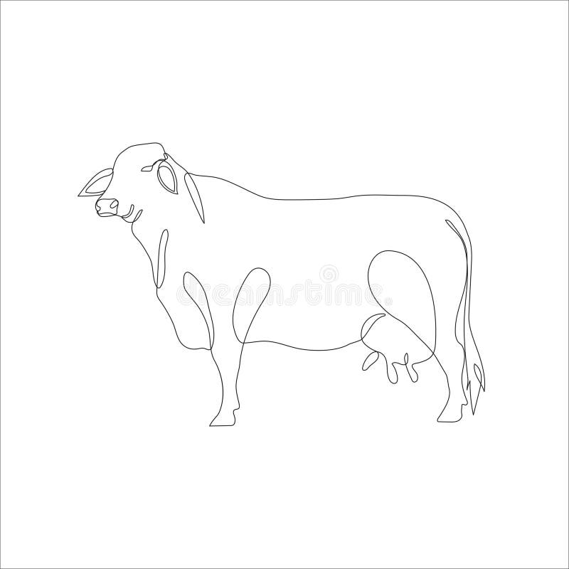 Drawing of a Continuous Line of Cattle Stock Vector - Illustration of ...