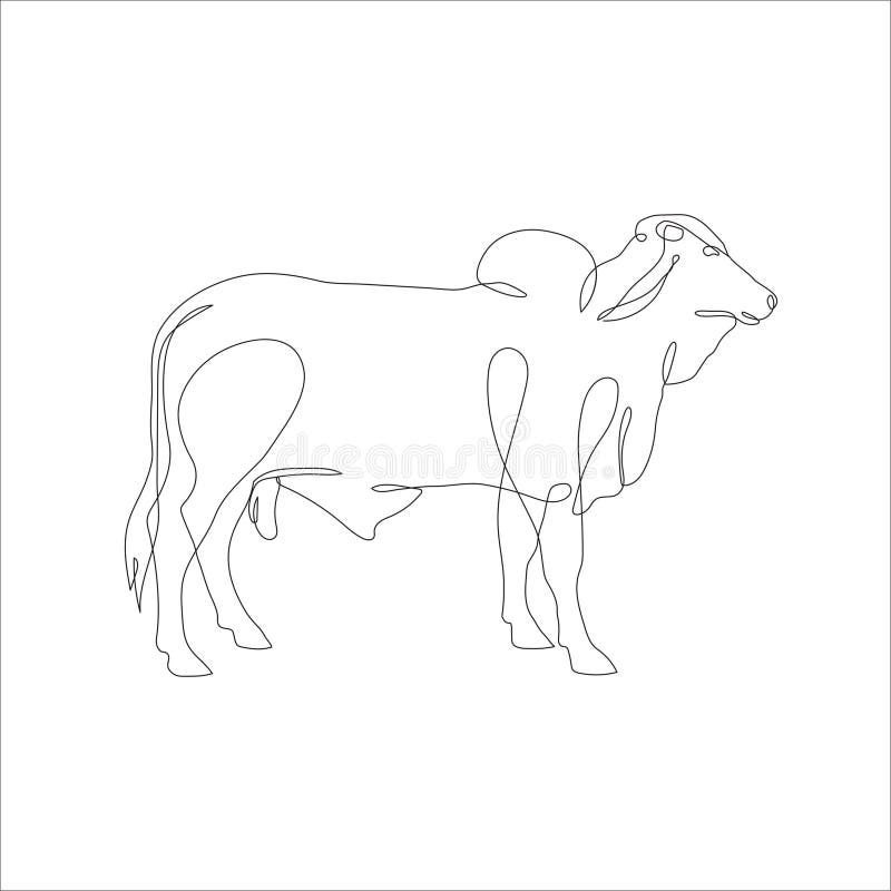 Drawing of a Continuous Line of Cow Stock Vector - Illustration of farm ...