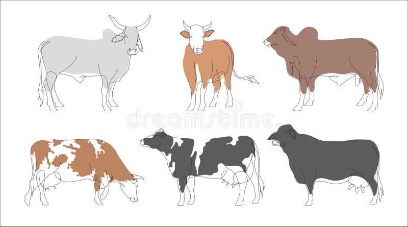 Set of Cow in Continuous Line Art Drawing Stock Vector - Illustration ...