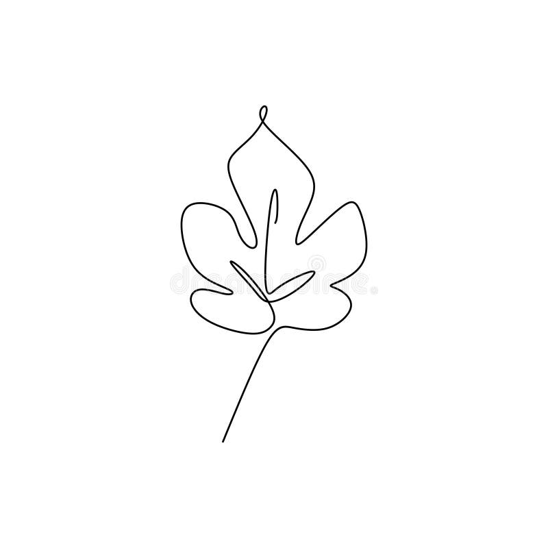 Drawing Continuous Lines of Leaves with Simple Lines Stock Vector ...