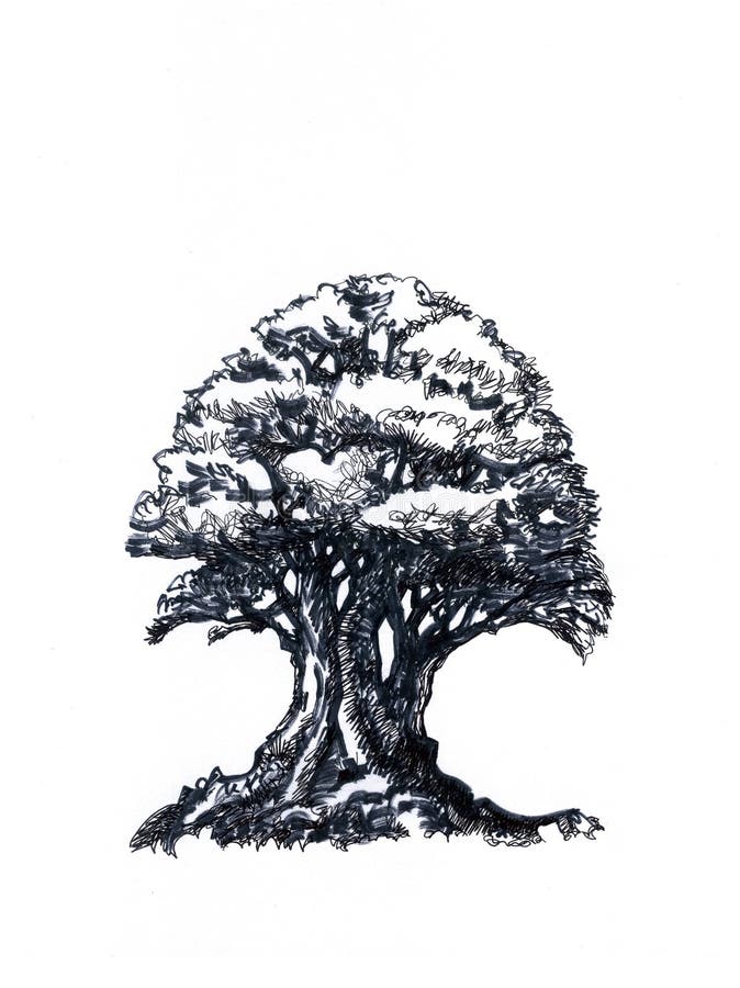 Fluffy Tree. Style of Bonsai. Stock Illustration - Illustration of ...