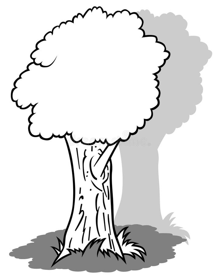 Drawing of a Deciduous Tree with a Thick Trunk Stock Vector ...