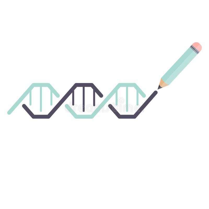 Drawing DNA Genome Sciences Vector Illustration Graphic Icon Stock ...
