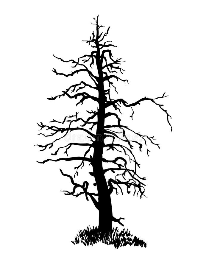 Gnarled Oak Stock Illustrations – 63 Gnarled Oak Stock Illustrations ...
