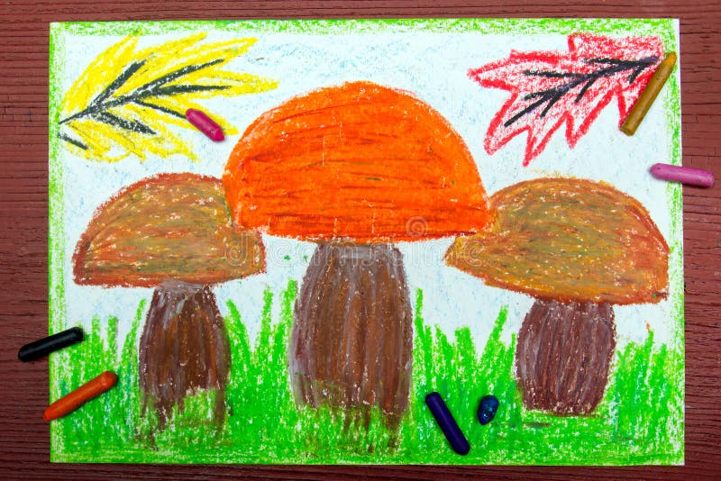 Drawing: Edible Mushrooms in the Grass Stock Image - Image of nature ...