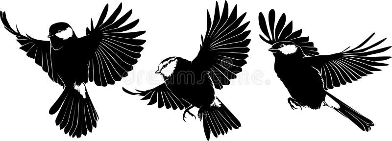 Drawing Elements of Flying Birds on White Background .Vector Stock ...