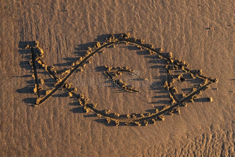 Drawing of fish on sand stock image. Image of tourism - 188264773