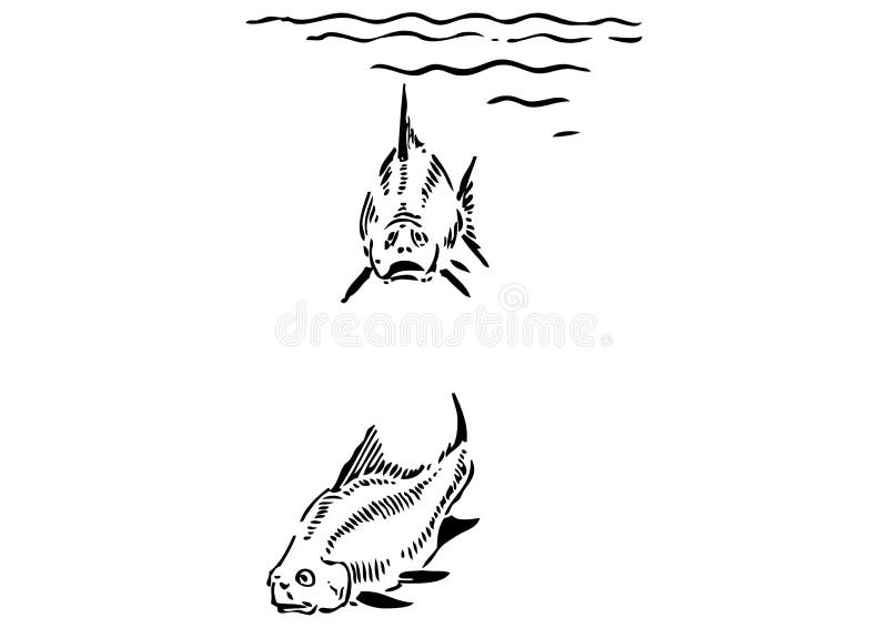 Drawing of Fish Under the Sea with White Background Stock Illustration ...