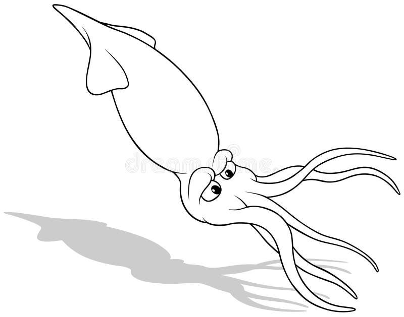 Drawing of a Floating Squid Stock Vector - Illustration of life ...