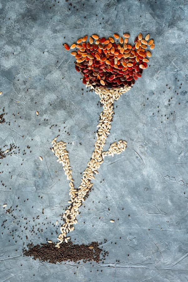 Drawing of a Flower Made Up of Colored Seeds on a Grey Background. View ...