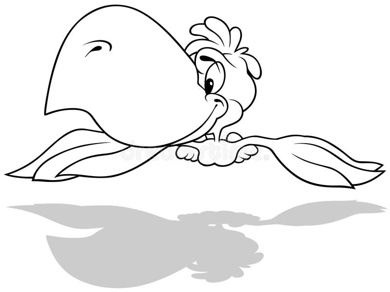 Drawing of a Flying Parrot with a Big Beak from Front View Stock Vector ...