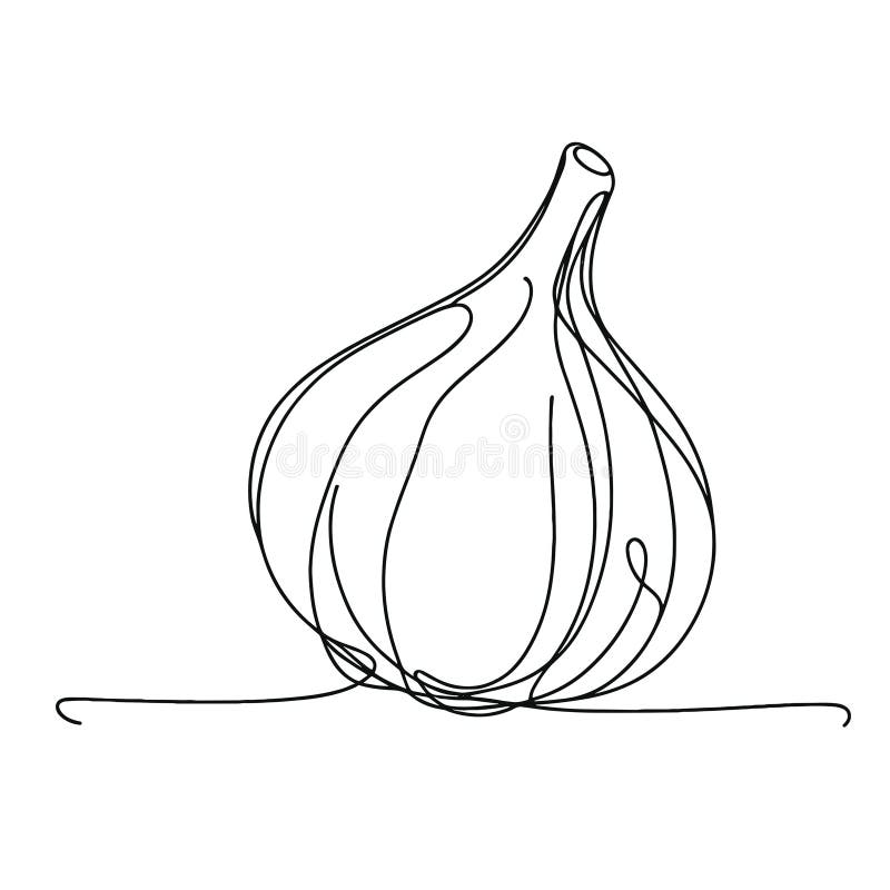 A Drawing of a Garlic Bulb with a Stem Stock Illustration ...