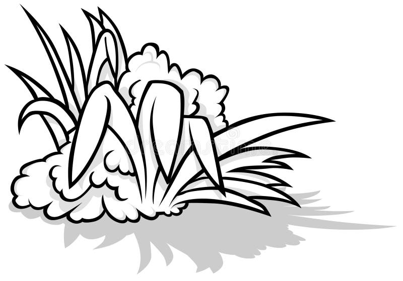 Drawing Of A Group Of Different Types Of Grass Stock Vector Illustration Of Drawn Contour