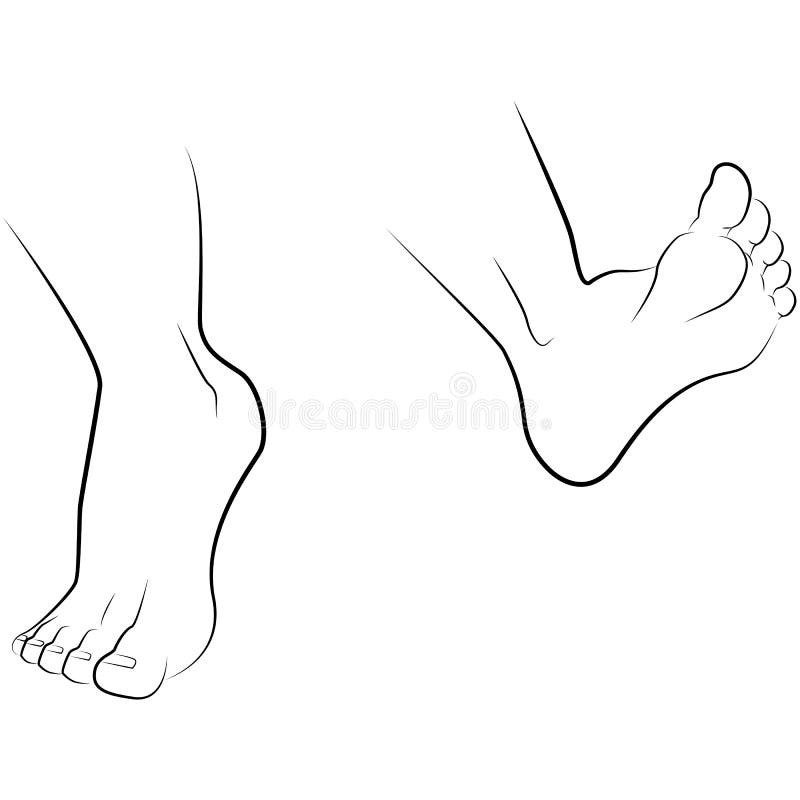 Drawing hand and foot stock illustration. Illustration of paper - 67719732