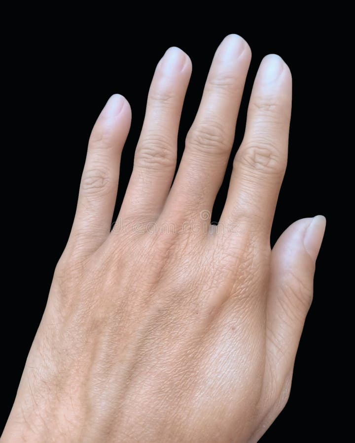 A Drawing of a Hand with Slender Fingers and Nails Stock Photo - Image ...