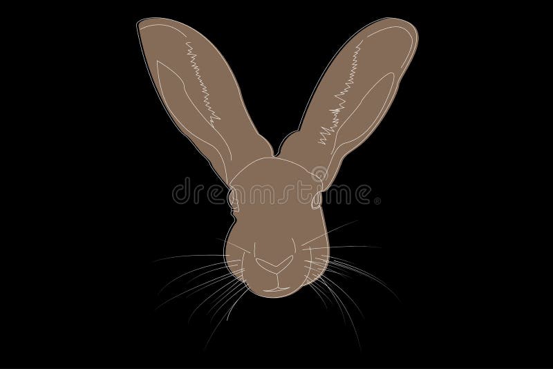Drawing of a Hare. Hare Head Full Face. Simple Linear Drawing of a Hare ...