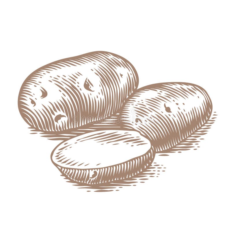 Three Potatoes Stock Illustrations – 1,038 Three Potatoes Stock ...
