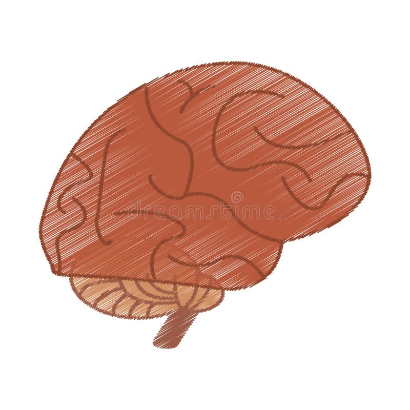 Drawing Brain Thinking Idea Blue Bubble Stock Vector - Illustration of ...