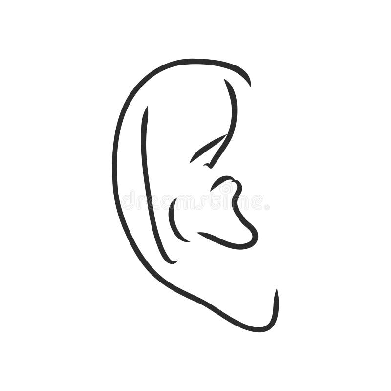 Drawing Human Ear Outline Stock Illustrations – 954 Drawing Human Ear ...