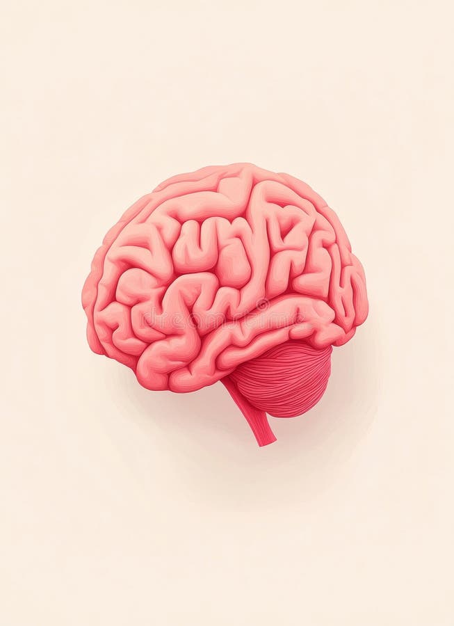 A Drawing and an Image of a Brain, Both with a Light Shining on Them ...